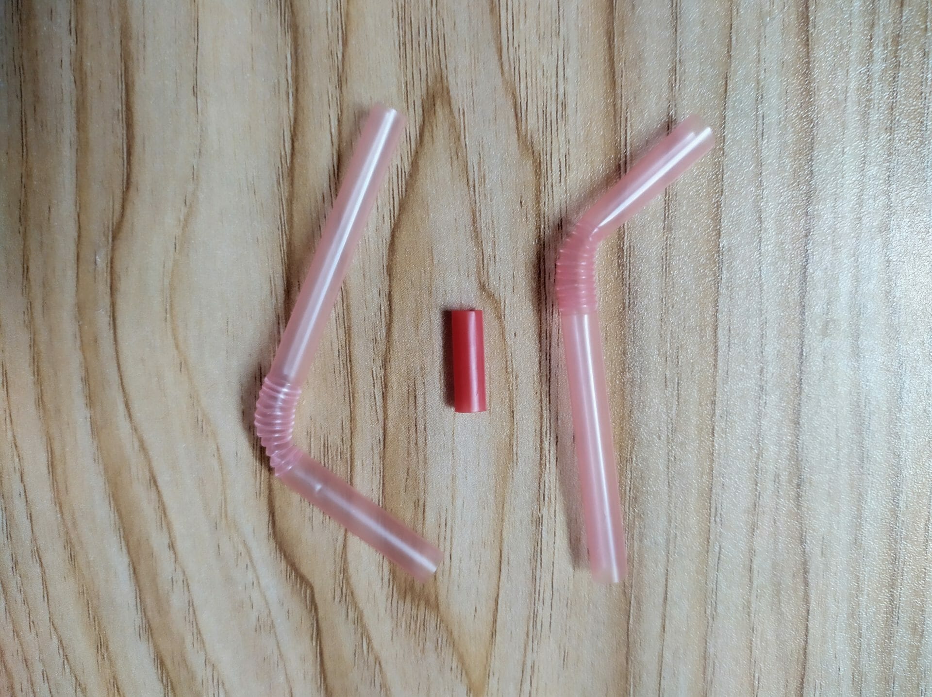 DIY Betta Feeding Ring: 3 Methods (Circle, Square, Triangle) – Acuario Pets