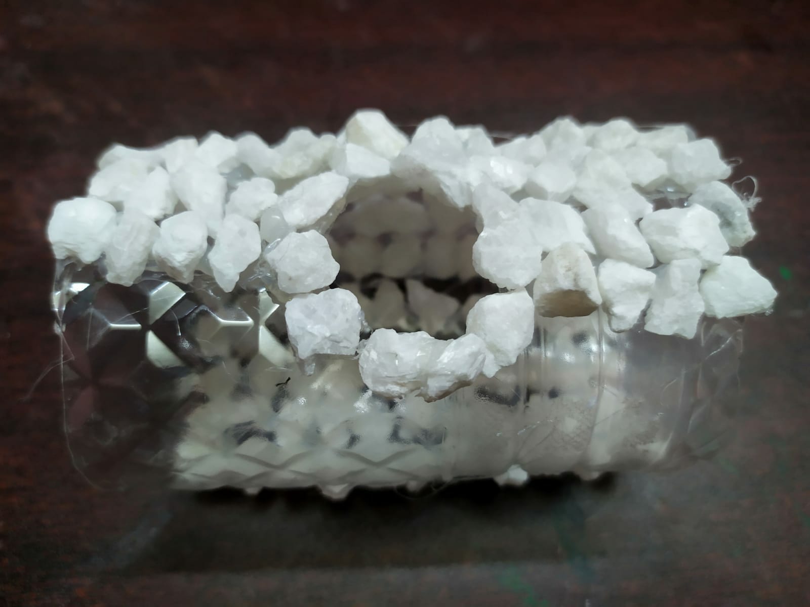 DIY Betta Cave: 4 Methods (Stone, Terracotta, Coconut) – Acuario Pets