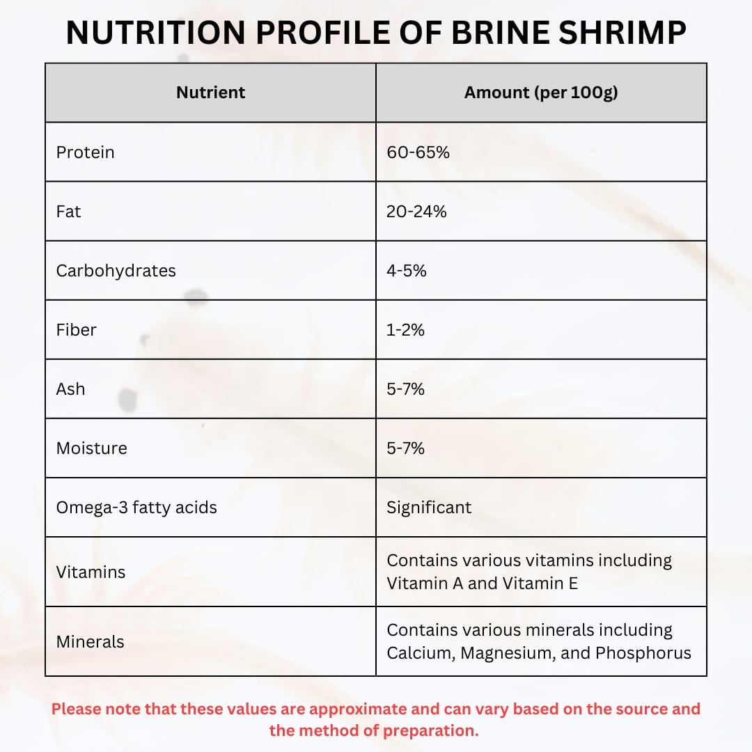 Do Cherry Shrimps Eat Brine Shrimp? [Safe or Risky] – Acuario Pets