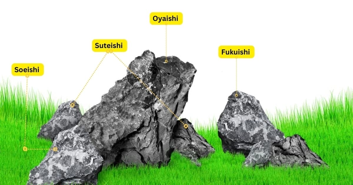 How To Set Up An Iwagumi Style Bowl Aquascape? – Acuario Pets