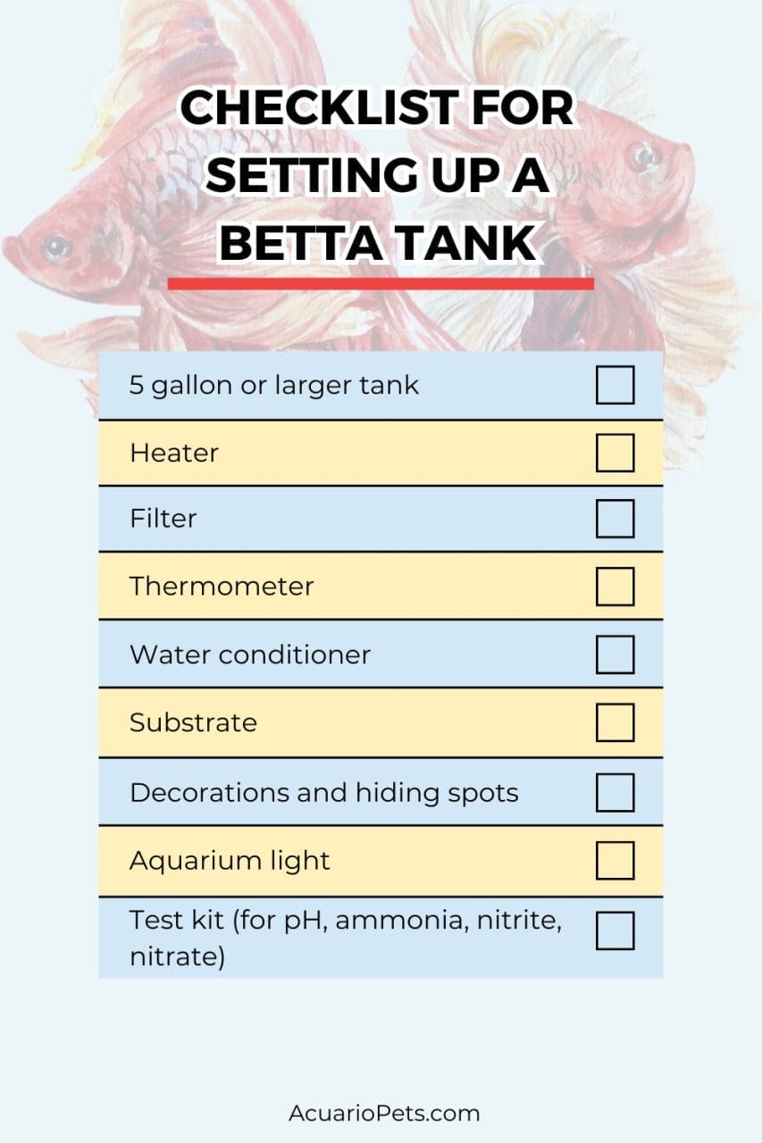 Short & Sweet Guide To Betta Fish Care For Beginners – Acuario Pets