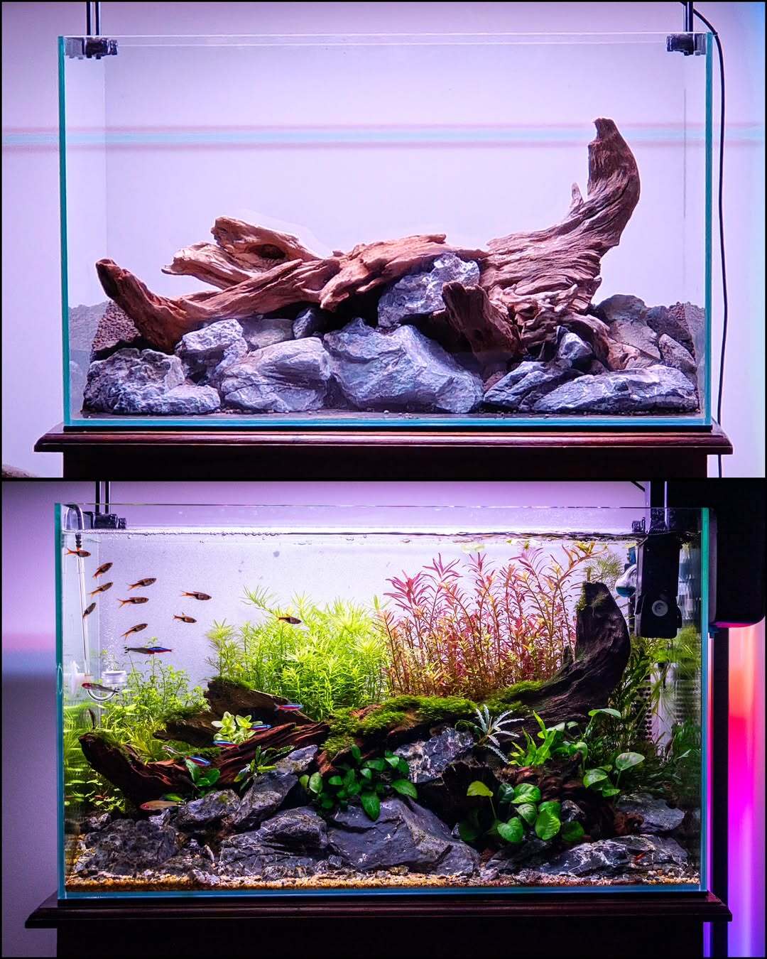 These 10 Cool Fish Tank Decoration Ideas Will Make Your Aquarium Look ...