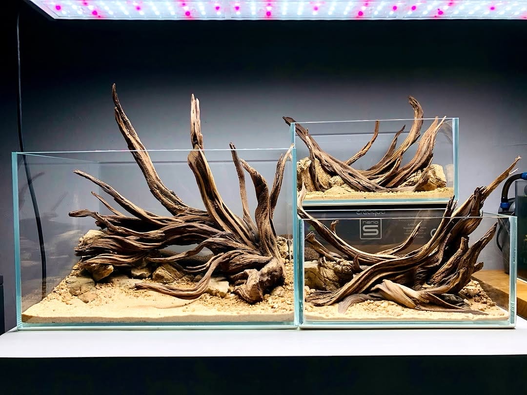 These 10 Cool Fish Tank Decoration Ideas Will Make Your Aquarium Look ...