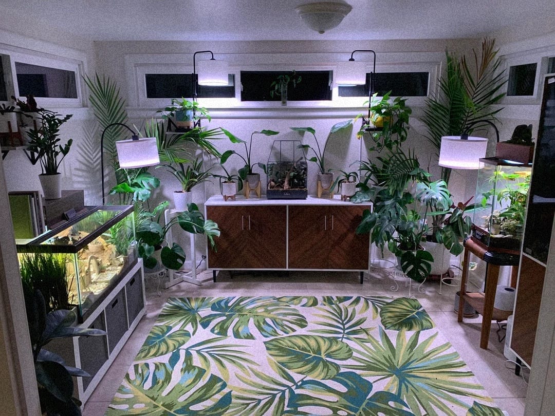 3 Inspiring Reptile Room Setups You’ll Want to Copy – Acuario Pets