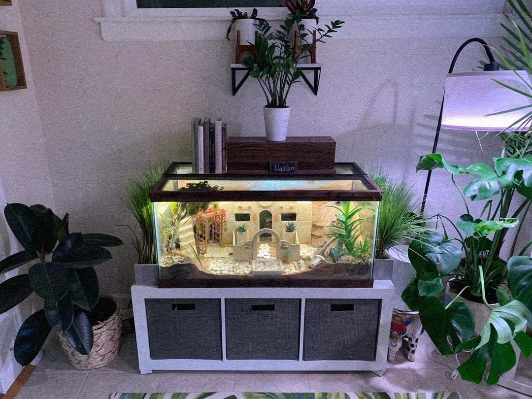 3 Inspiring Reptile Room Setups You’ll Want to Copy – Acuario Pets